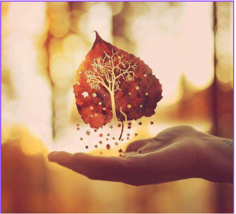 Ho Rites de Passage – Rituels, célébrations et rites de passage